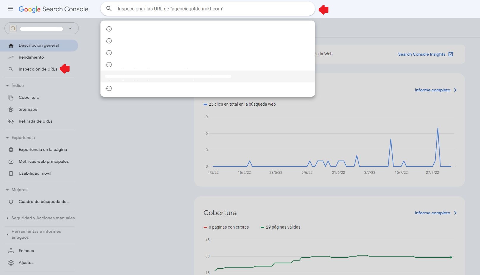 ¿Cómo usar Google Search Console? 10 pasos